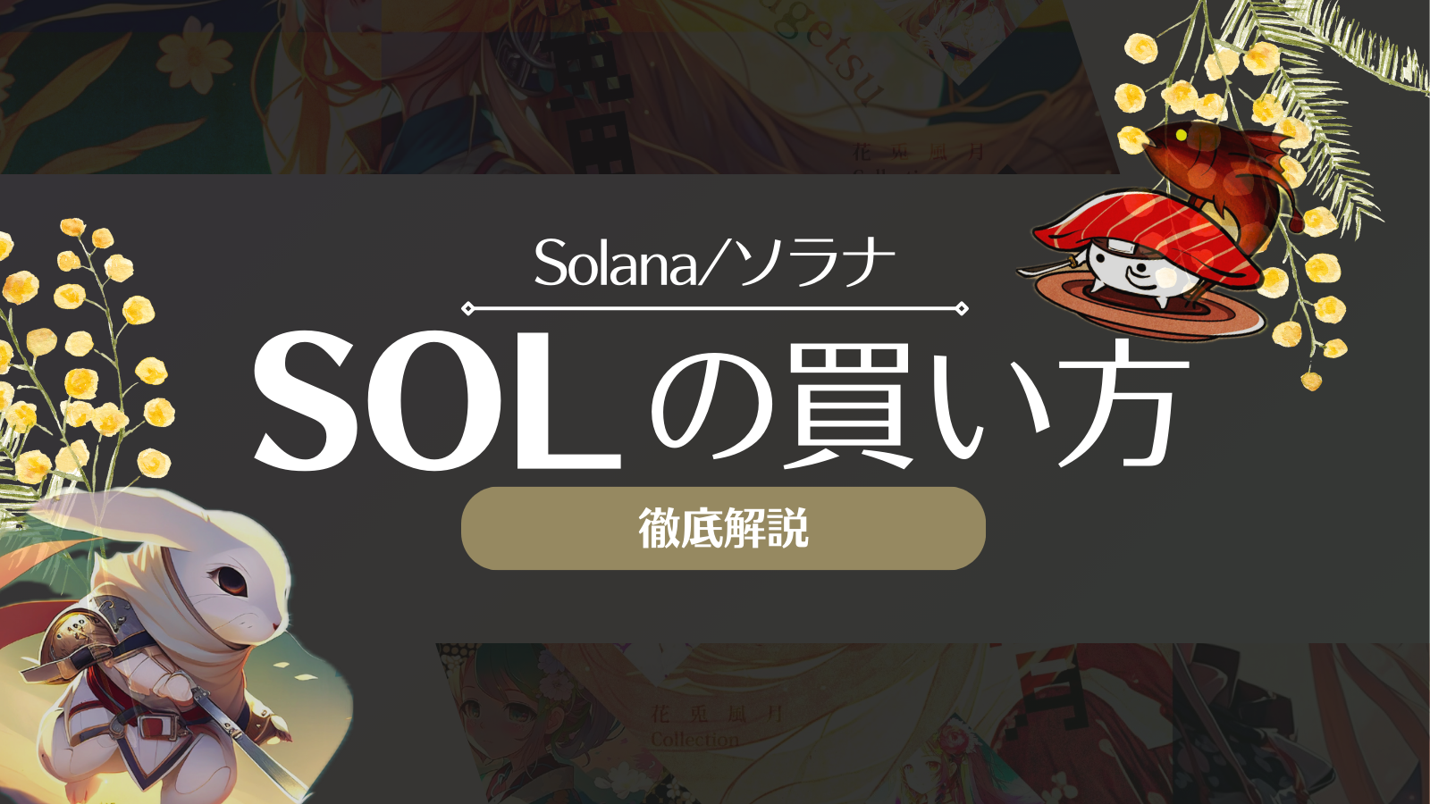 仮想通貨SOL(ソラナ)の買い方は？購入できるおすすめの取引所を紹介します！ | Web3電子の巻